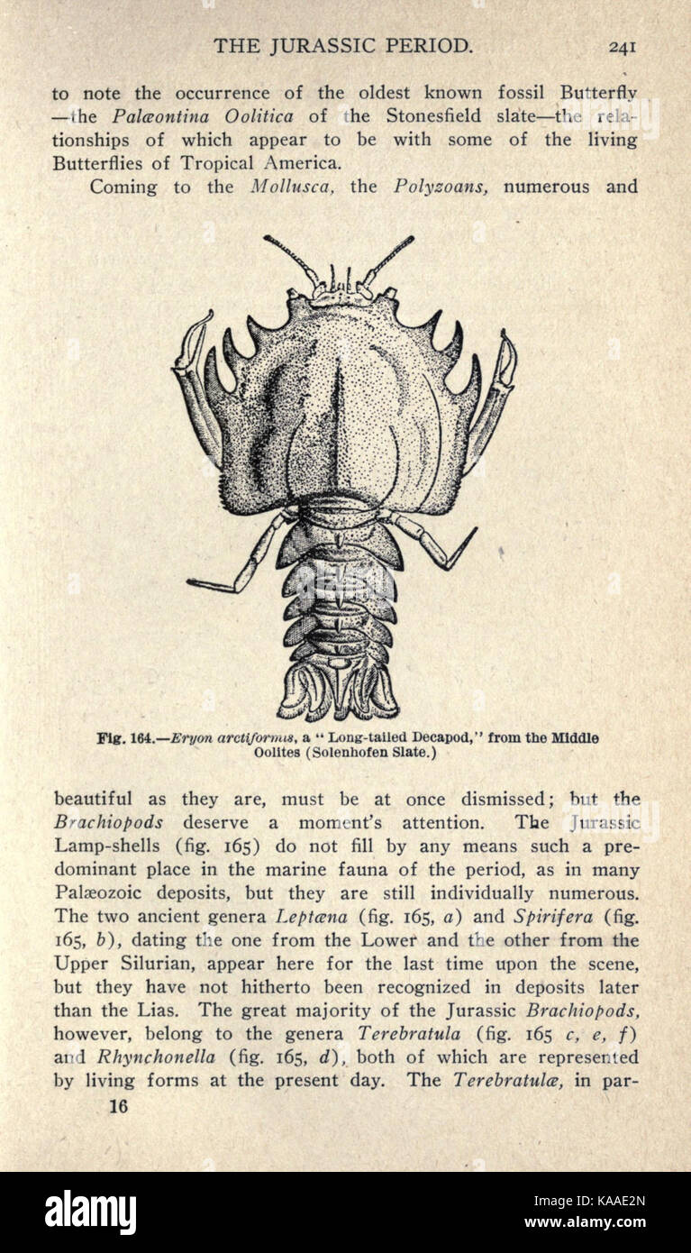 This page discusses the ancient life history of Earth, covering key ...