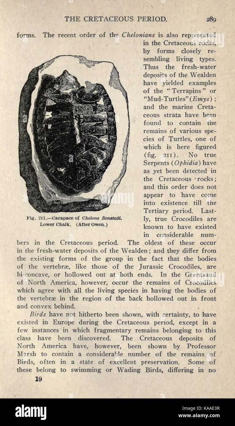 The ancient life history of the earth (Page 289) BHL43381685 Stock ...