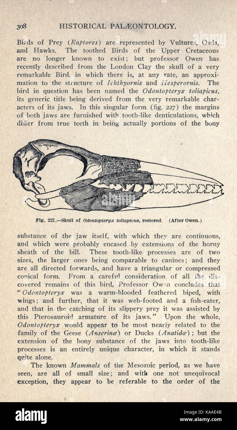 This page from 'The Ancient Life History of the Earth' offers an ...