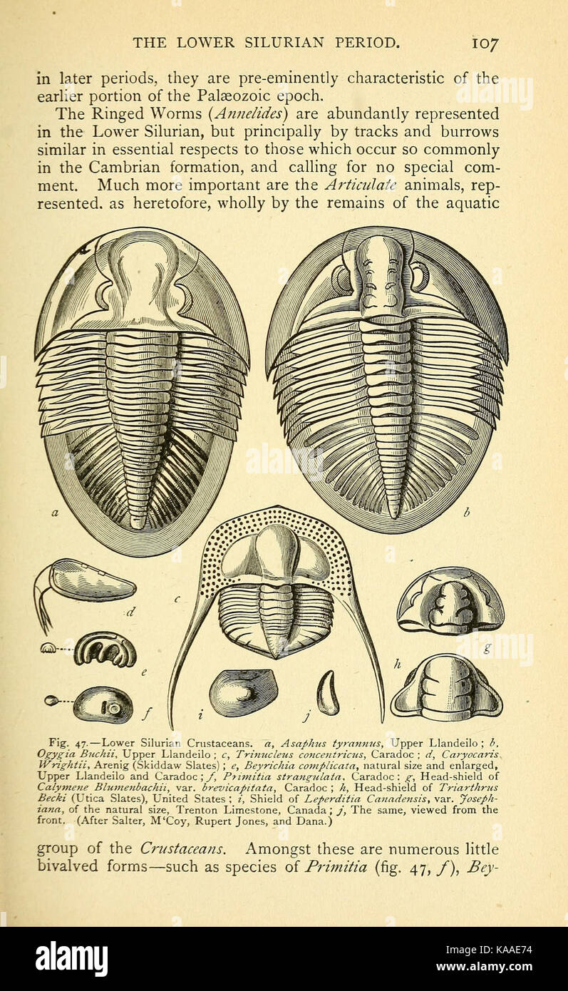 This page from 'The Ancient Life History of the Earth' focuses on the ...