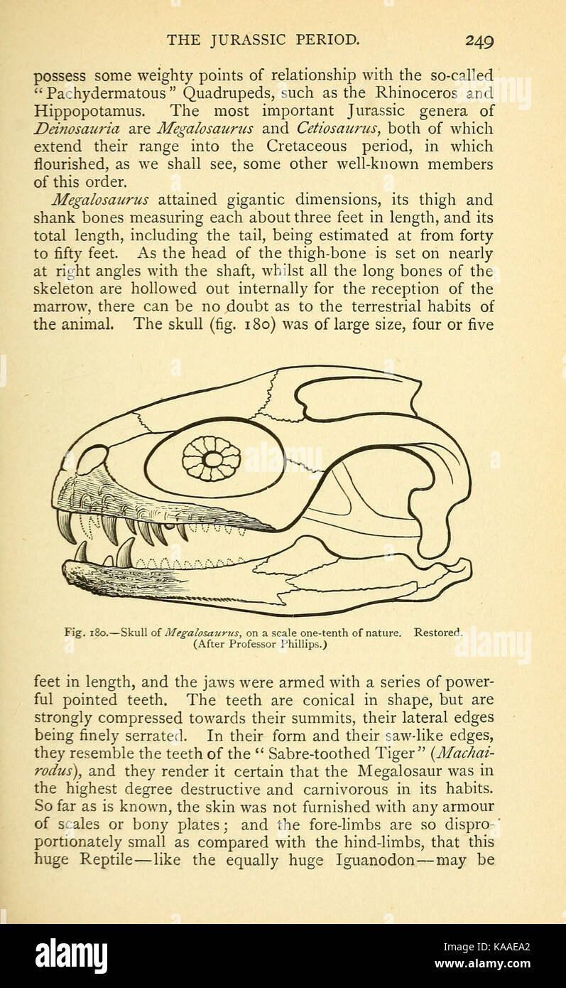 The ancient life history of the earth (Page 249) BHL40460422 Stock ...