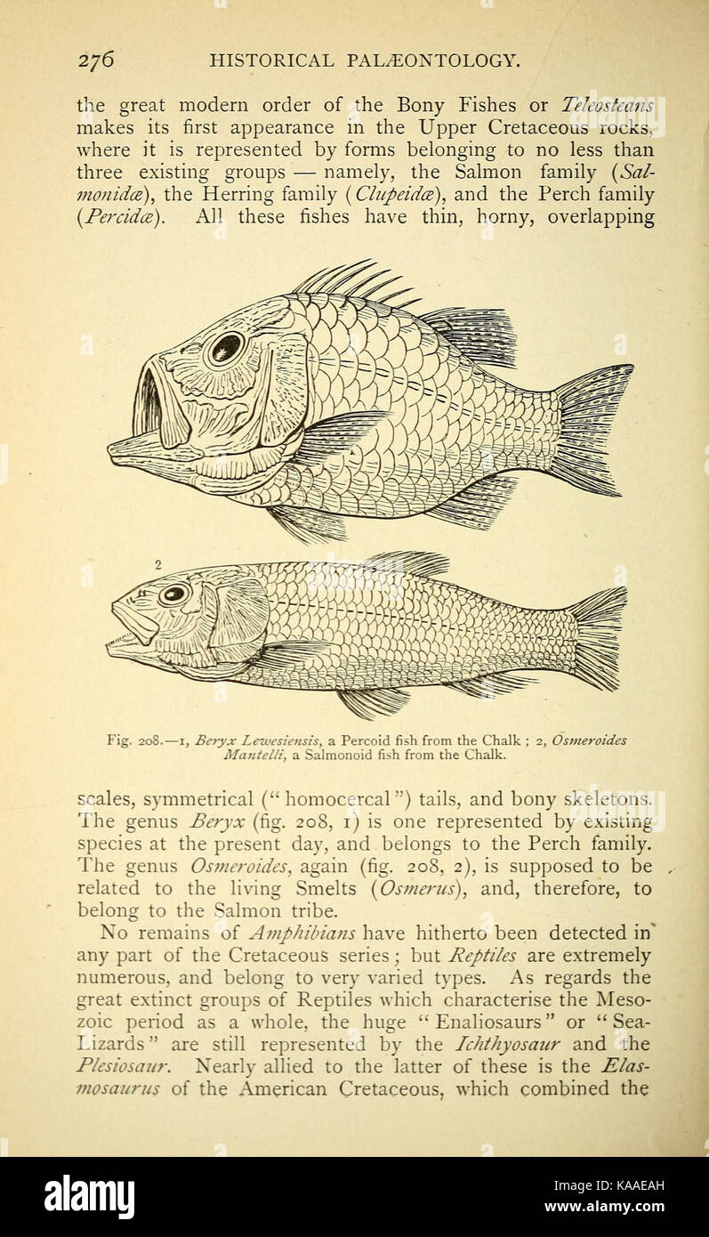 Life on earth explores hi-res stock photography and images - Alamy