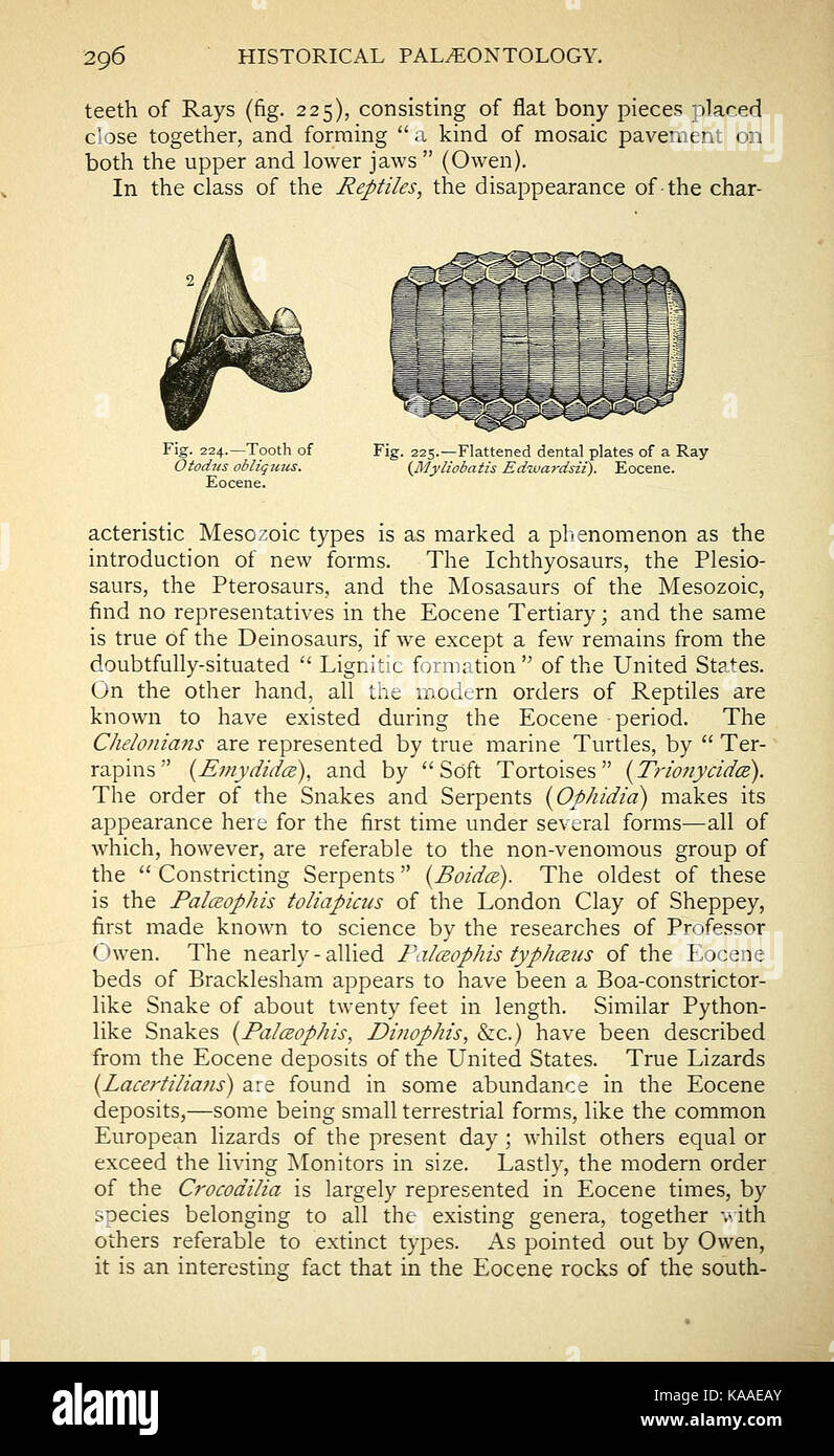 Life on earth explores hi-res stock photography and images - Alamy