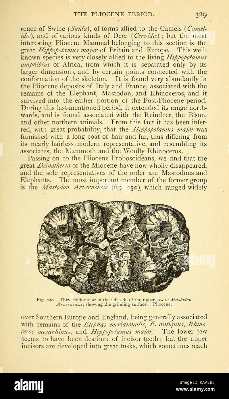 The ancient life history of the earth (Page 329) BHL40460502 Stock ...