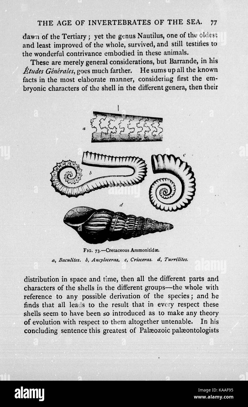 This illustration represents the chain of life in geological time ...
