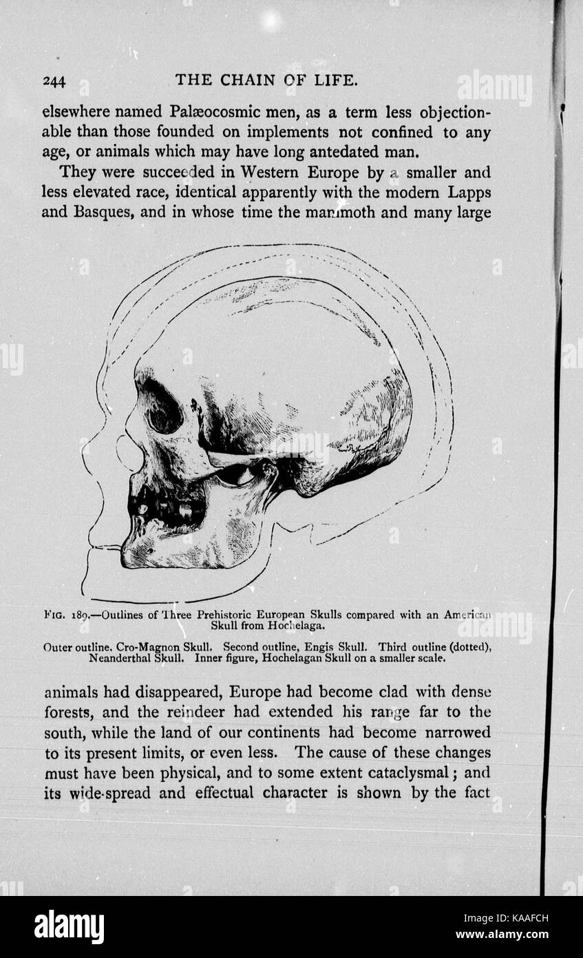 This reference discusses the chain of life in geological time ...