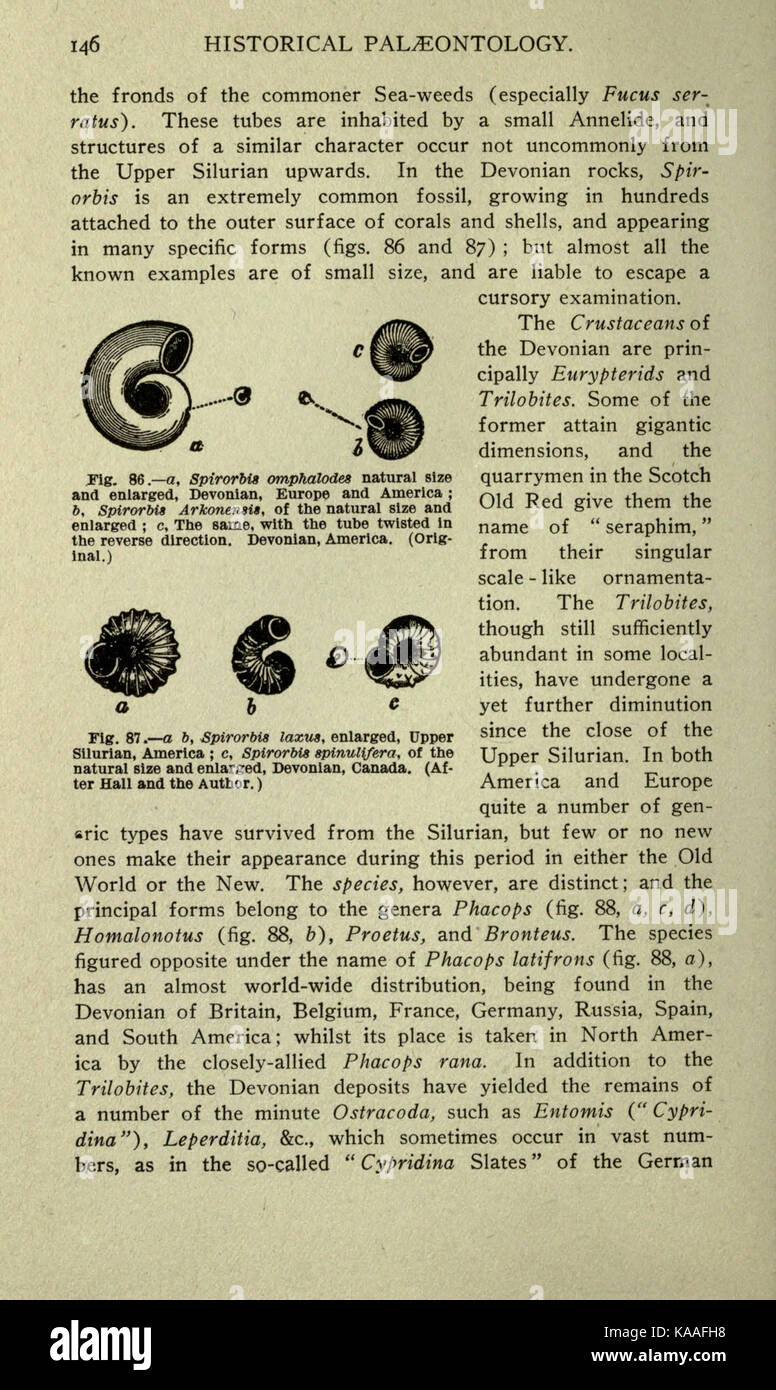 The ancient life history of the earth (Page 146) BHL18084060 Stock ...