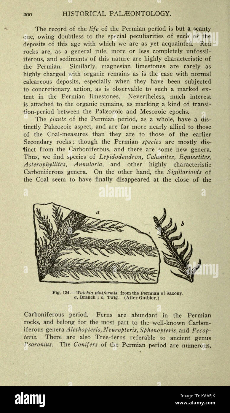 This page from 'The Ancient Life History of the Earth' discusses the ...