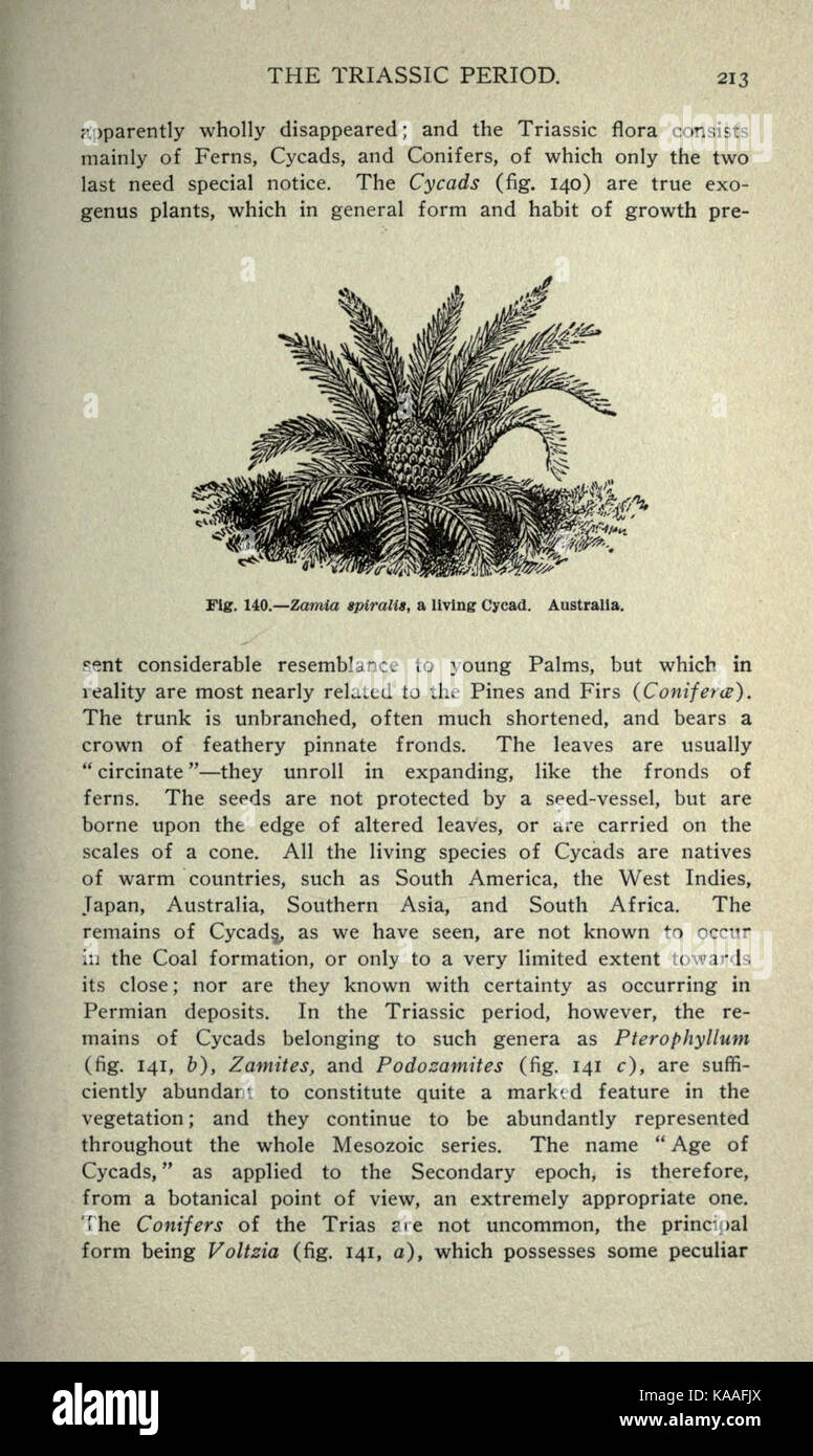 The ancient life history of the earth (Page 213) BHL18084127 Stock ...