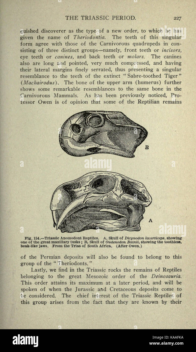 The ancient life history of the earth (Page 227) BHL18084141 Stock ...
