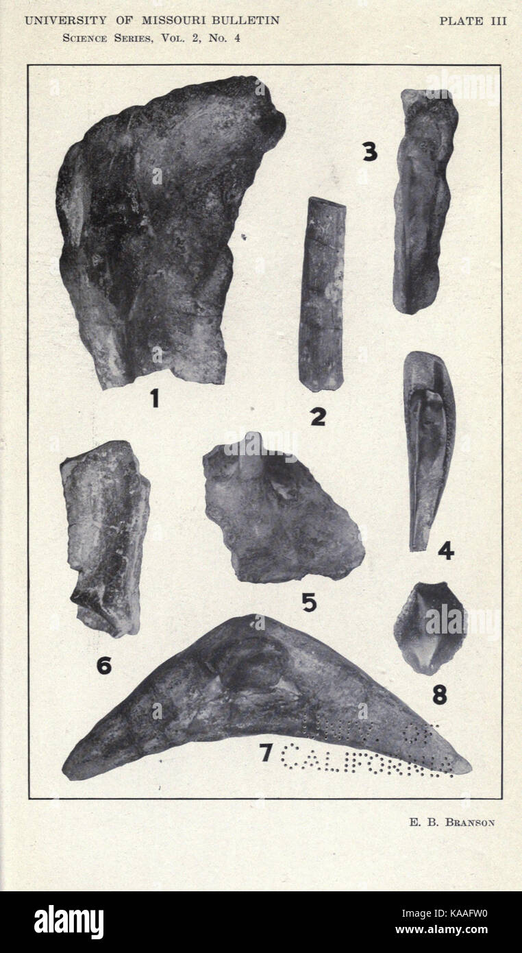 The Devonian fishes of Missouri BHL22140663 Stock Photo - Alamy