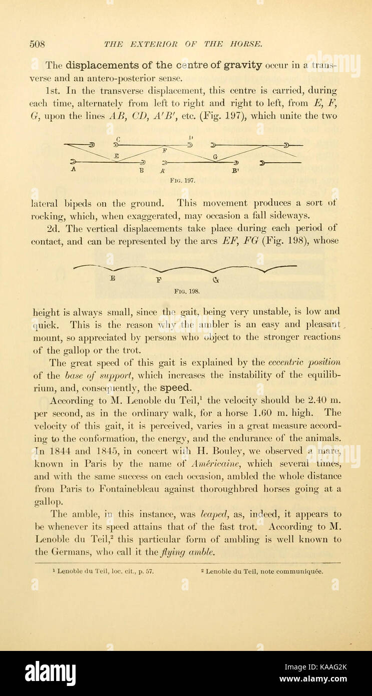 This page illustrates the exterior anatomy of a horse, providing ...