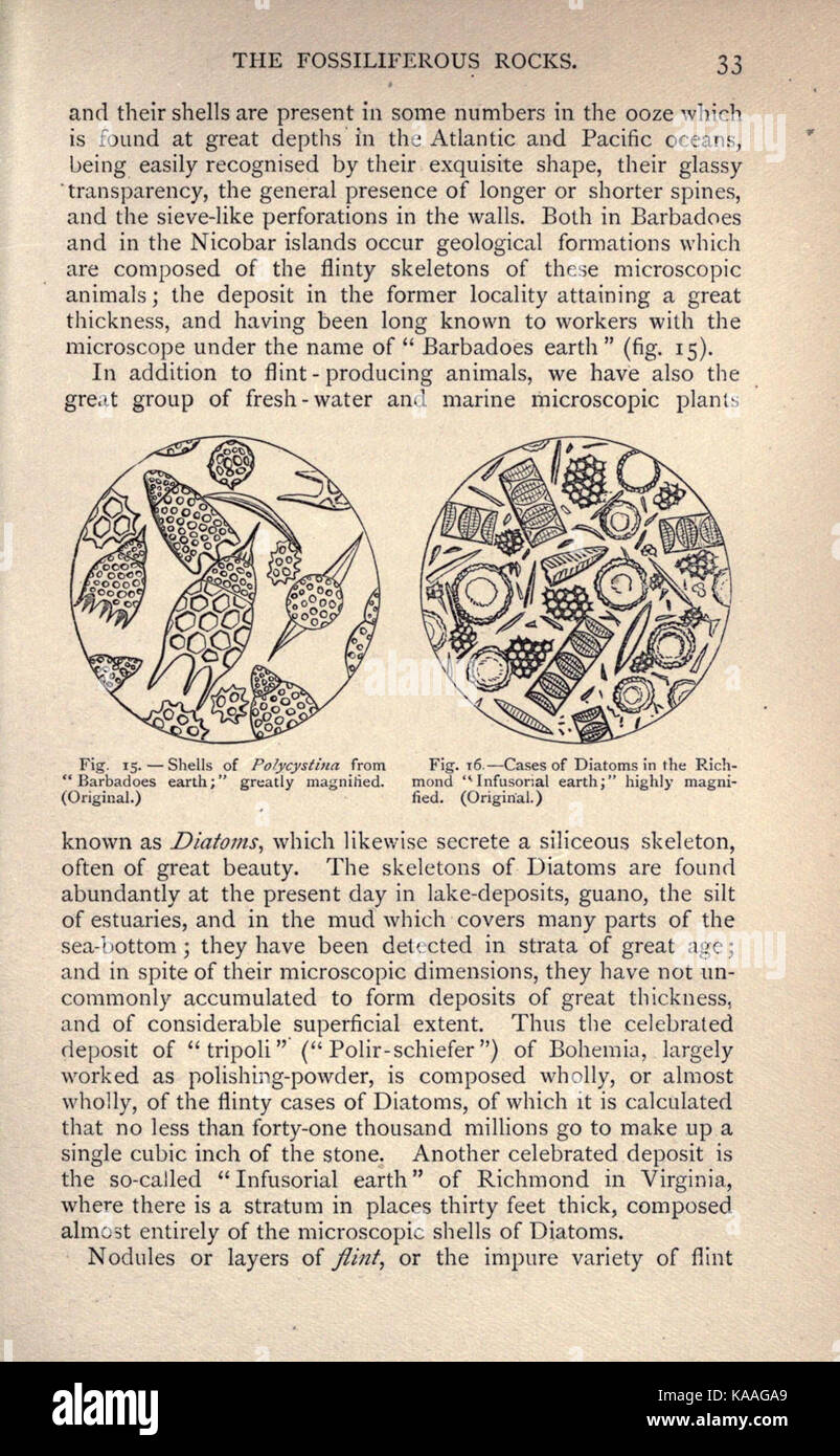 The ancient life history of the earth (Page 33) BHL16764207 Stock Photo ...