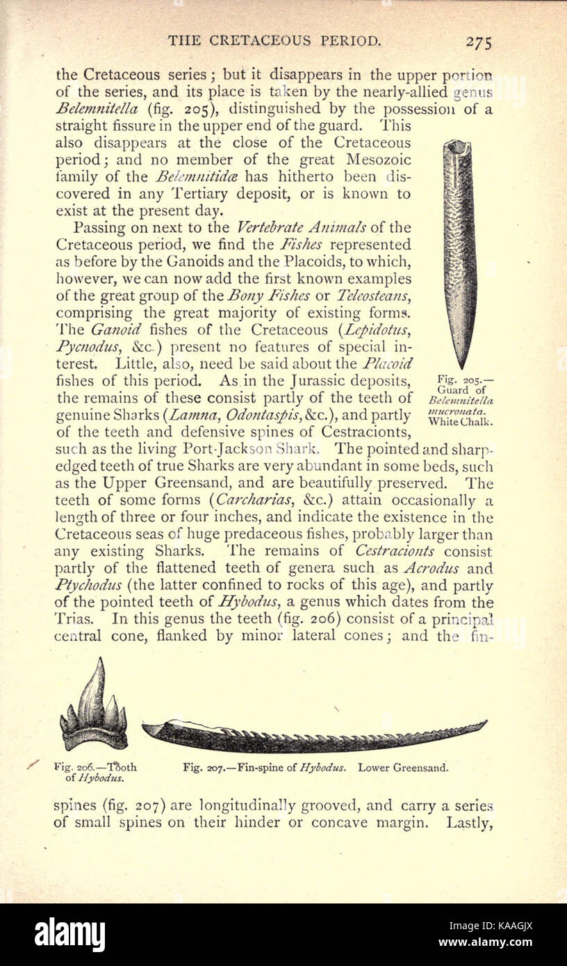 Page275