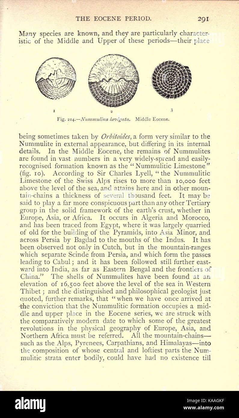 Life on earth explores hi-res stock photography and images - Alamy