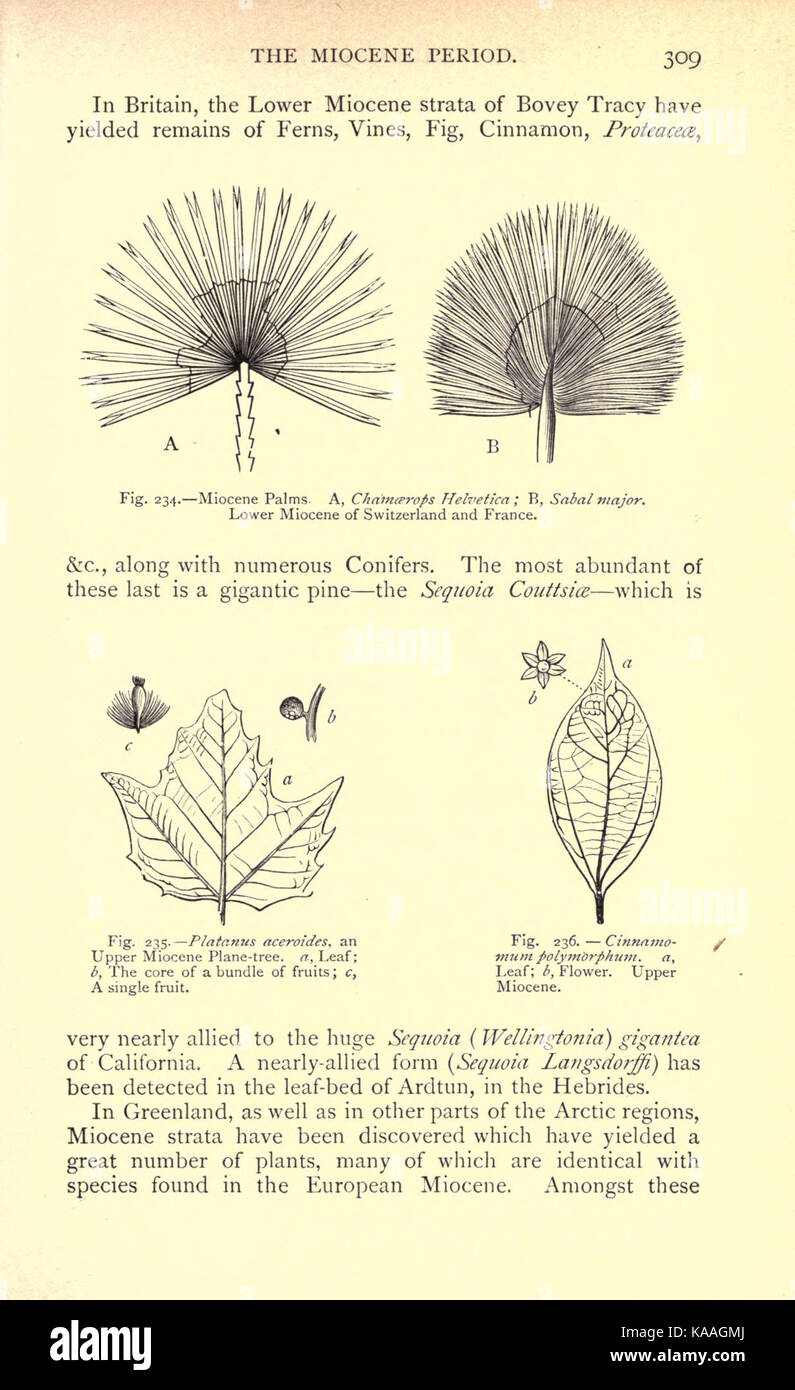 This illustration from 'The Ancient Life History of the Earth' depicts ...