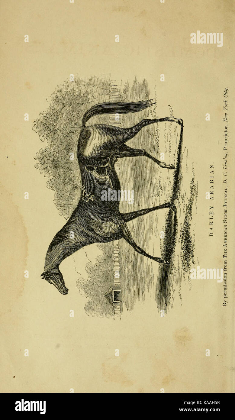 'The Domestic Animals' is an illustrated or textual reference that ...