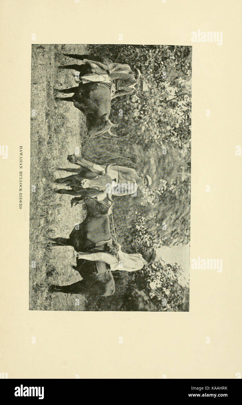 This image shows a page from the book 'Riders of Many Lands,' which ...