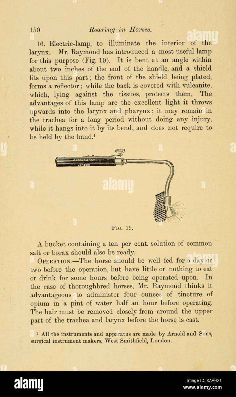 Roaring in horses (laryngismus paralyticus) (Page 150) BHL23567411 ...