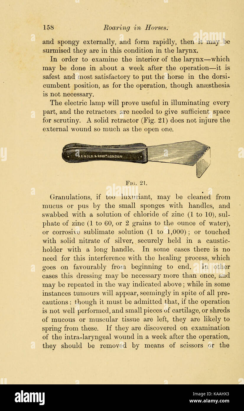 Roaring in horses (laryngismus paralyticus) (Page 158) BHL23567419 ...