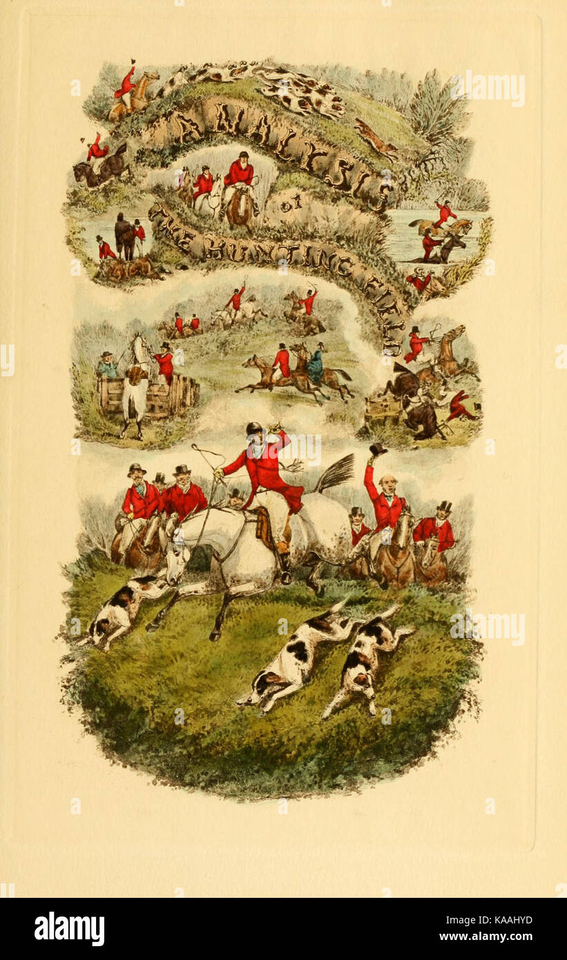 The analysis of the hunting field BHL22827767 Stock Photo - Alamy