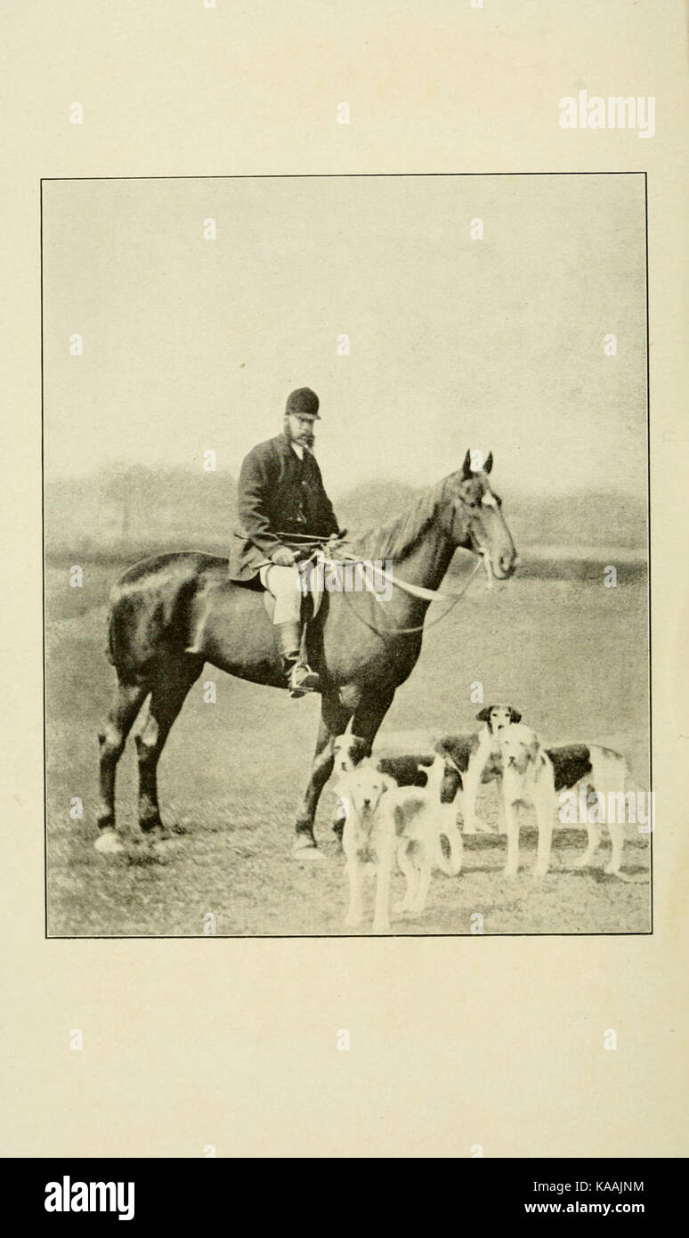 Bedale hounds hi-res stock photography and images - Alamy
