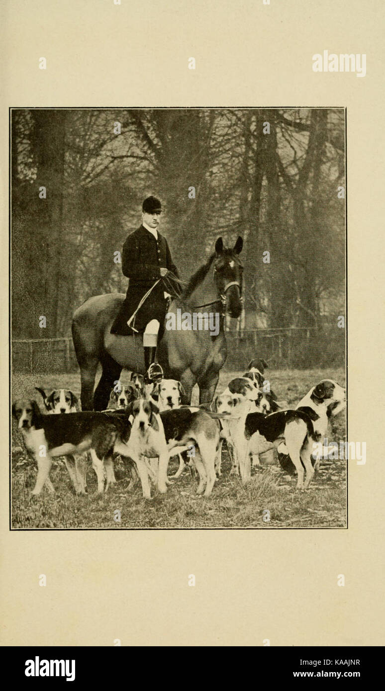 Bedale hounds hi-res stock photography and images - Alamy
