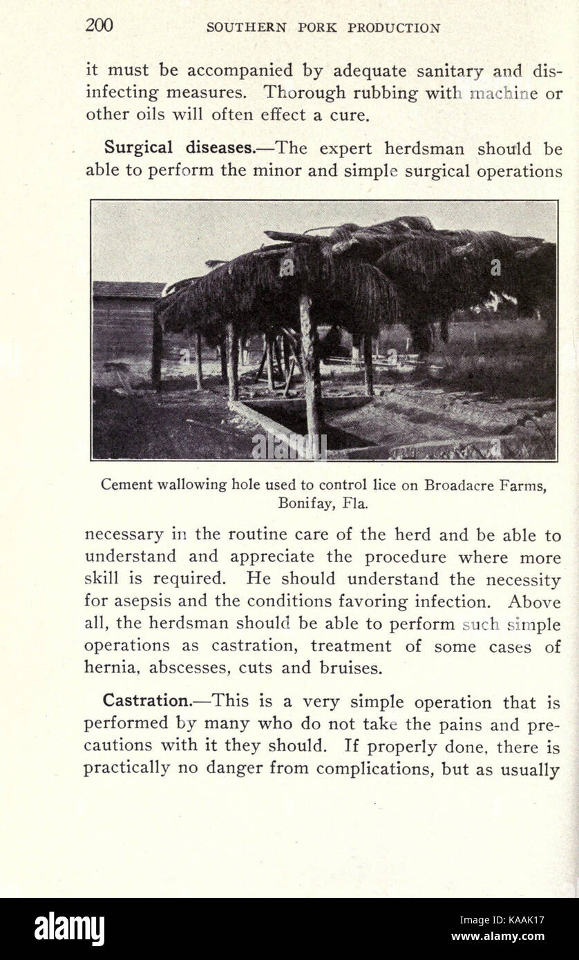 This image shows Page 200 from a publication on Southern pork ...