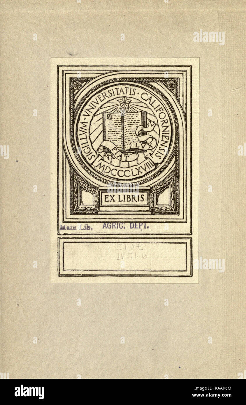 Swine; breeding, feeding and management BHL22849347 Stock Photo - Alamy