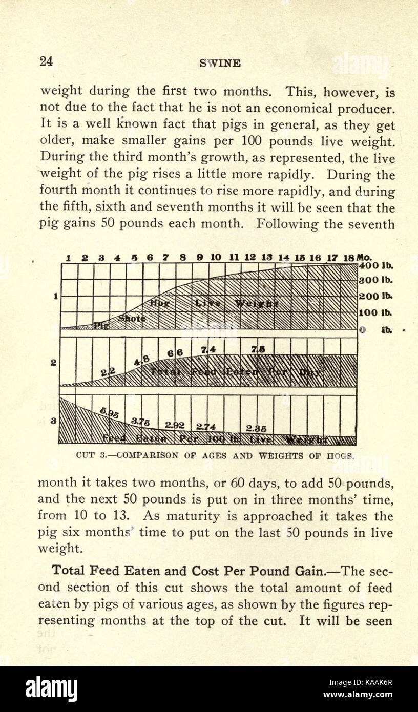 Swine breeding feeding management hi-res stock photography and images ...