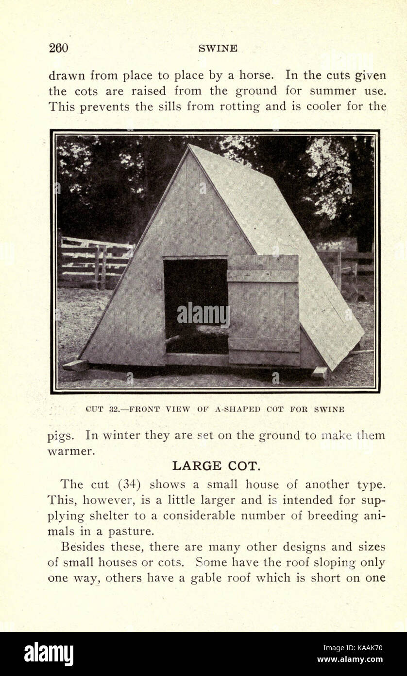 Swine; breeding, feeding and management (Page 260) BHL22849564 Stock ...