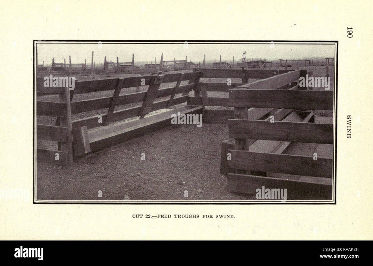 Swine; breeding, feeding and management (Page 190) BHL22849494 Stock ...