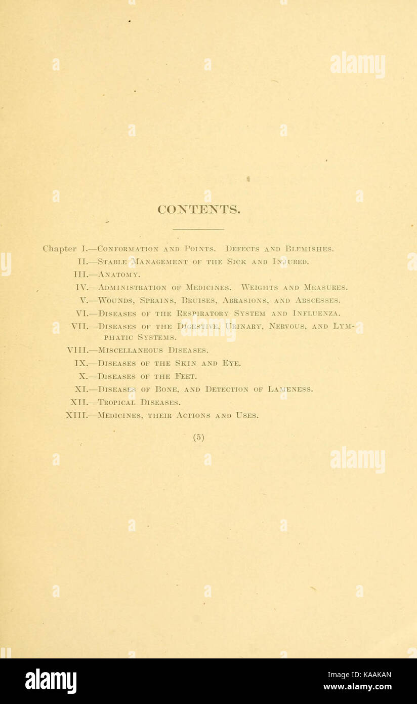 The army horse in accident and disease (Page 5) BHL19860747 Stock Photo ...