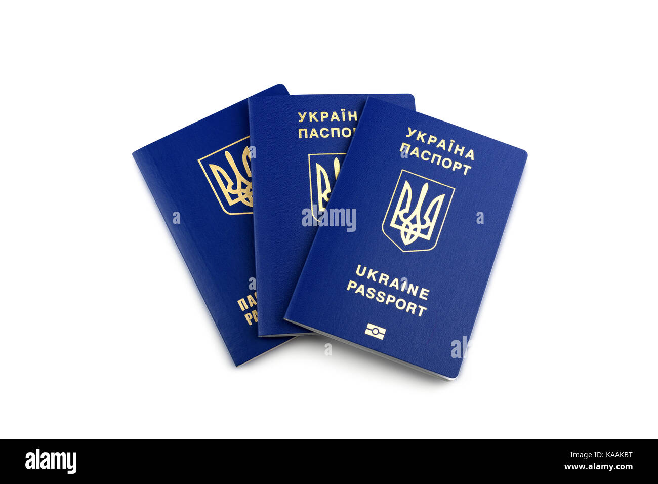 Biometric foreign ukrainian passport hi-res stock photography and ...