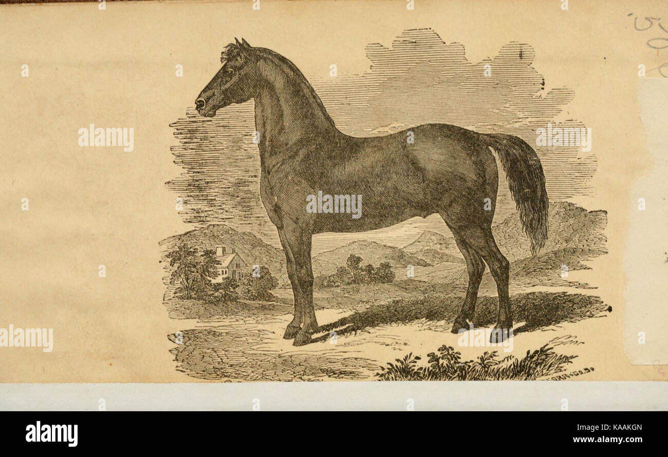 This image is from 'The Farmer's Practical Horse Farriery,' an ...