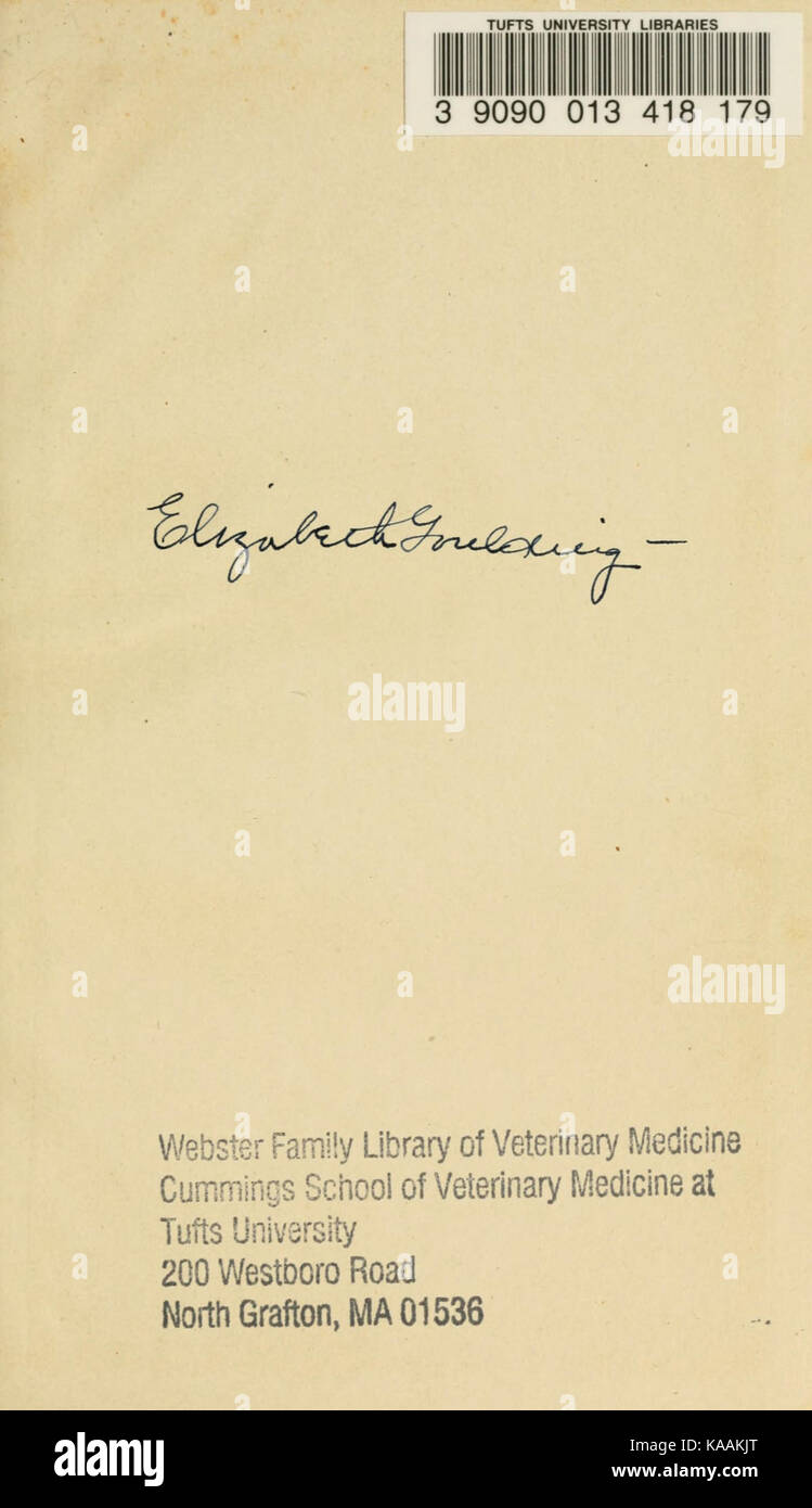 Harness racing horse being hi-res stock photography and images - Alamy