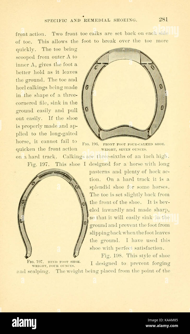 Russell on scientific horseshoeing for leveling and balancing the ...