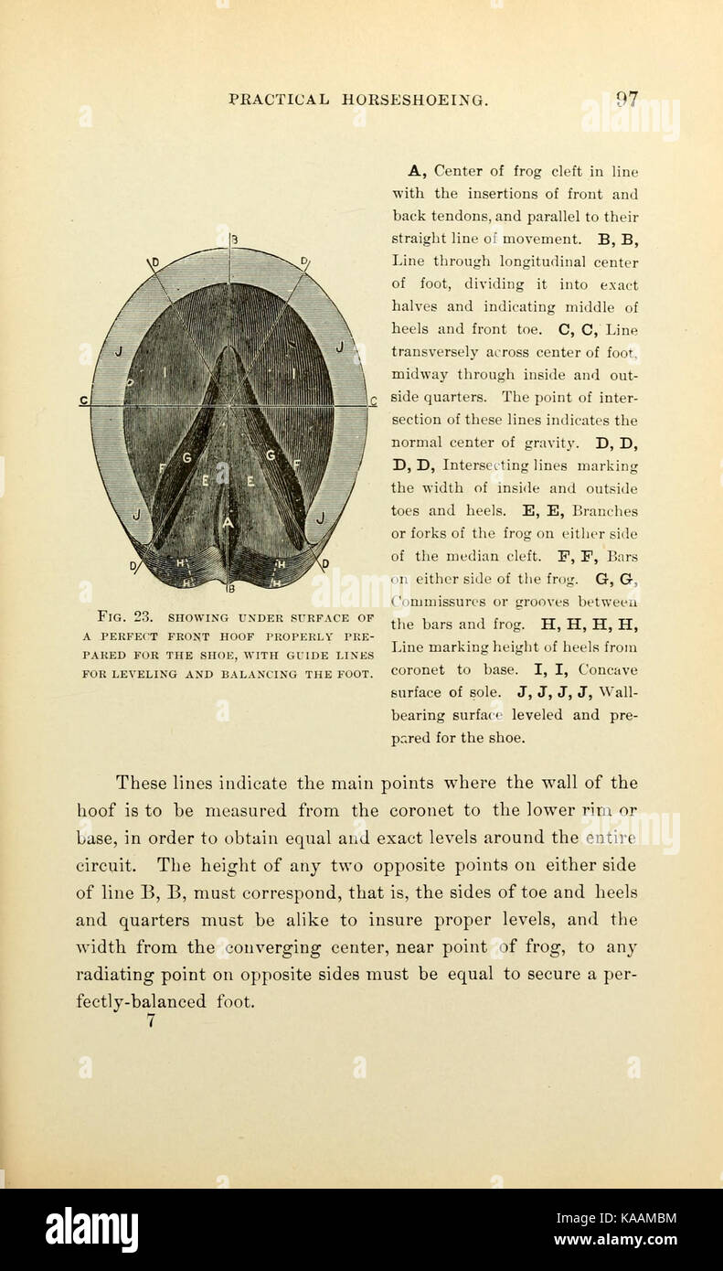 Historical scientific methods hi-res stock photography and images - Alamy