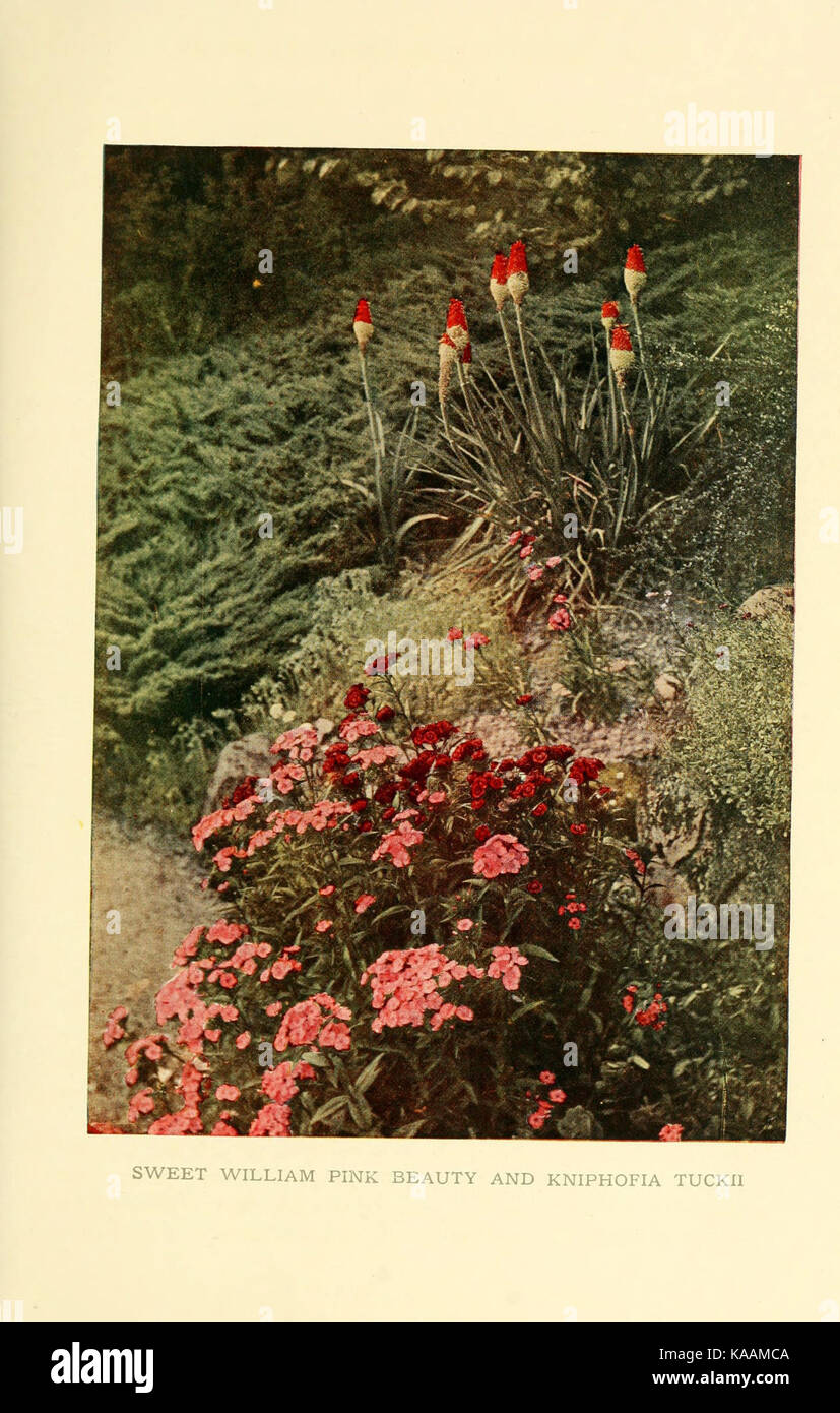 Illustration highlights various features hi-res stock photography and ...