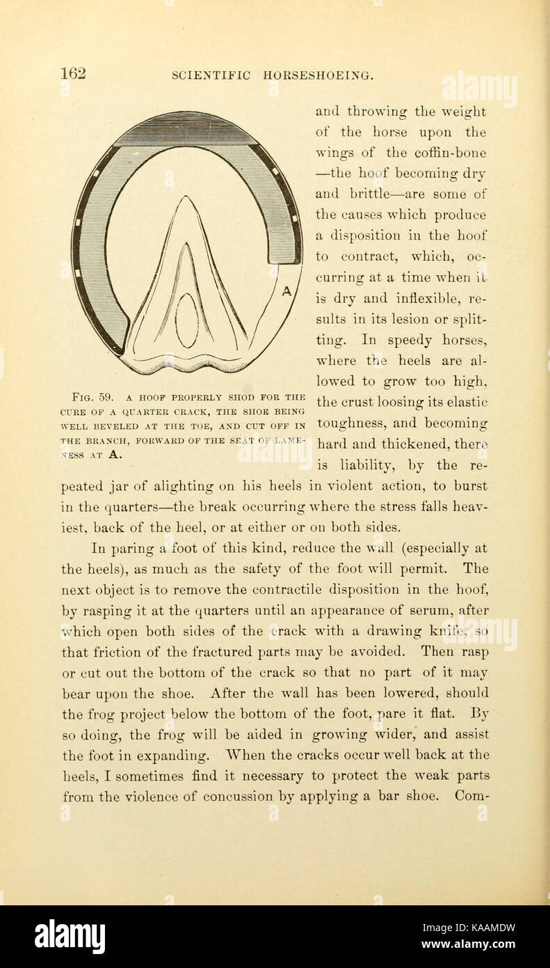 Shoeing method hi-res stock photography and images - Alamy