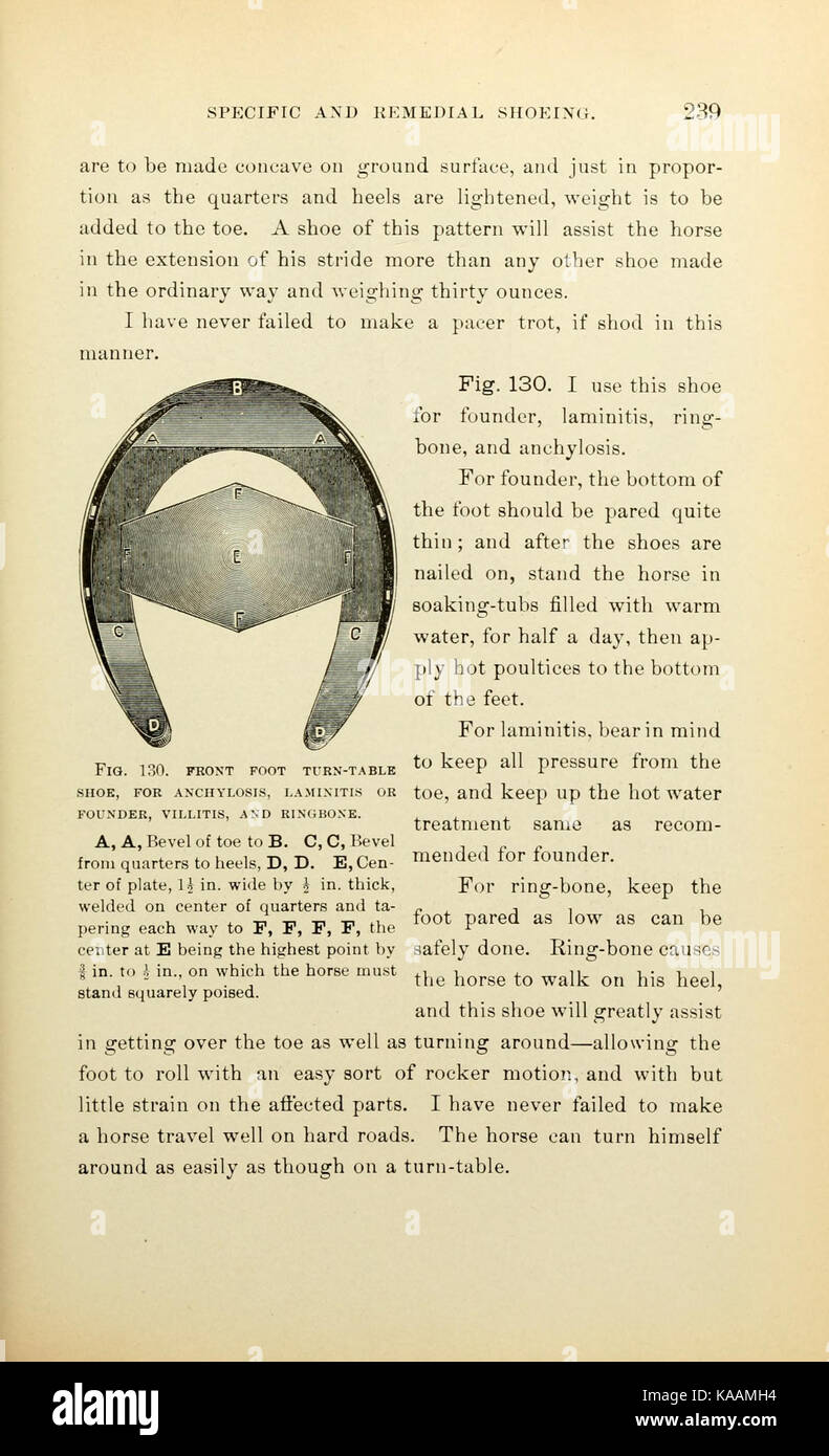 A page from the book detailing Russell's contributions to scientific ...