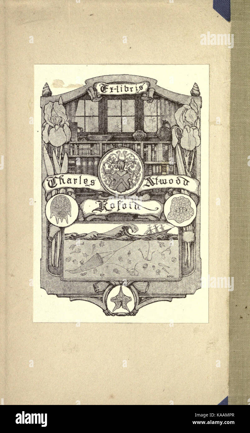 The cat, a guide to the classification and varieties of cats and a ...