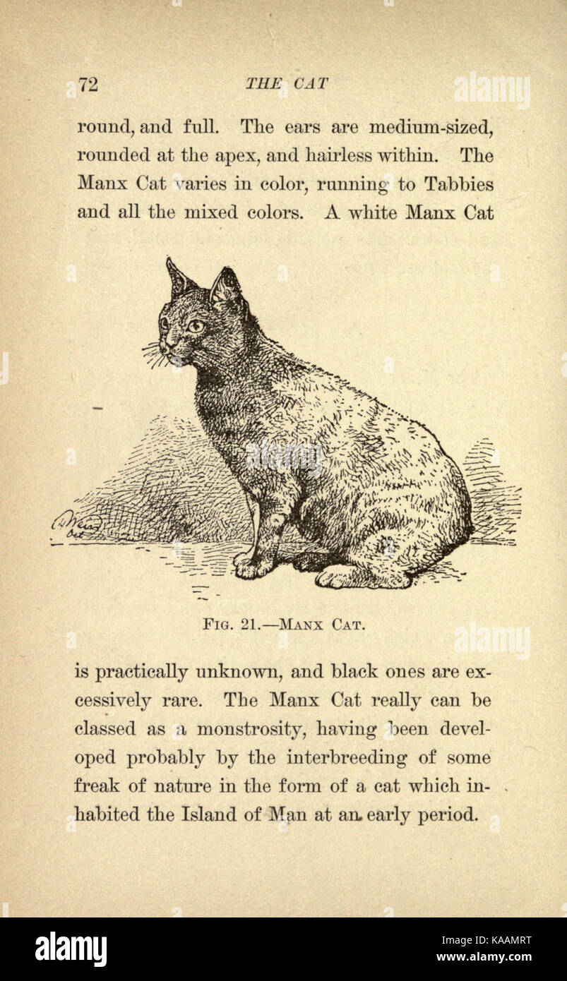 The cat, a guide to the classification and varieties of cats and a ...