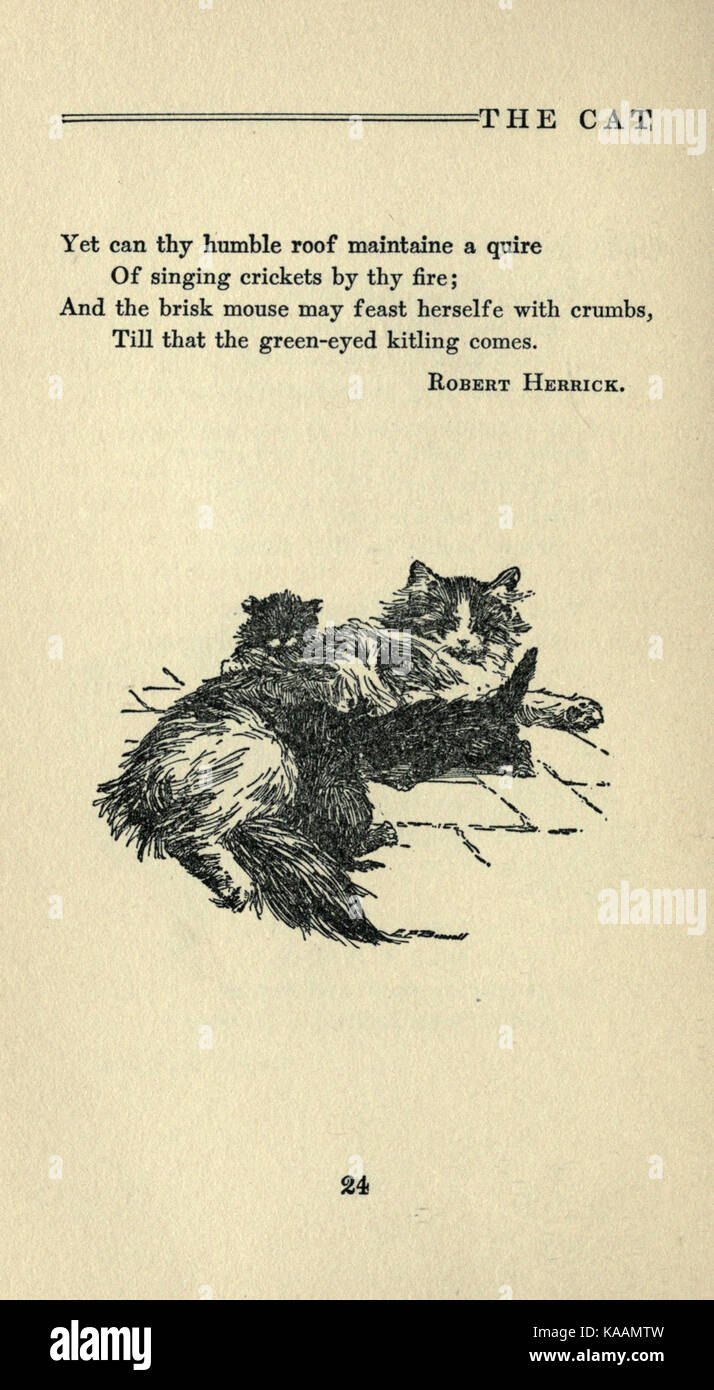 This page from a historical book features an illustration of a cat ...