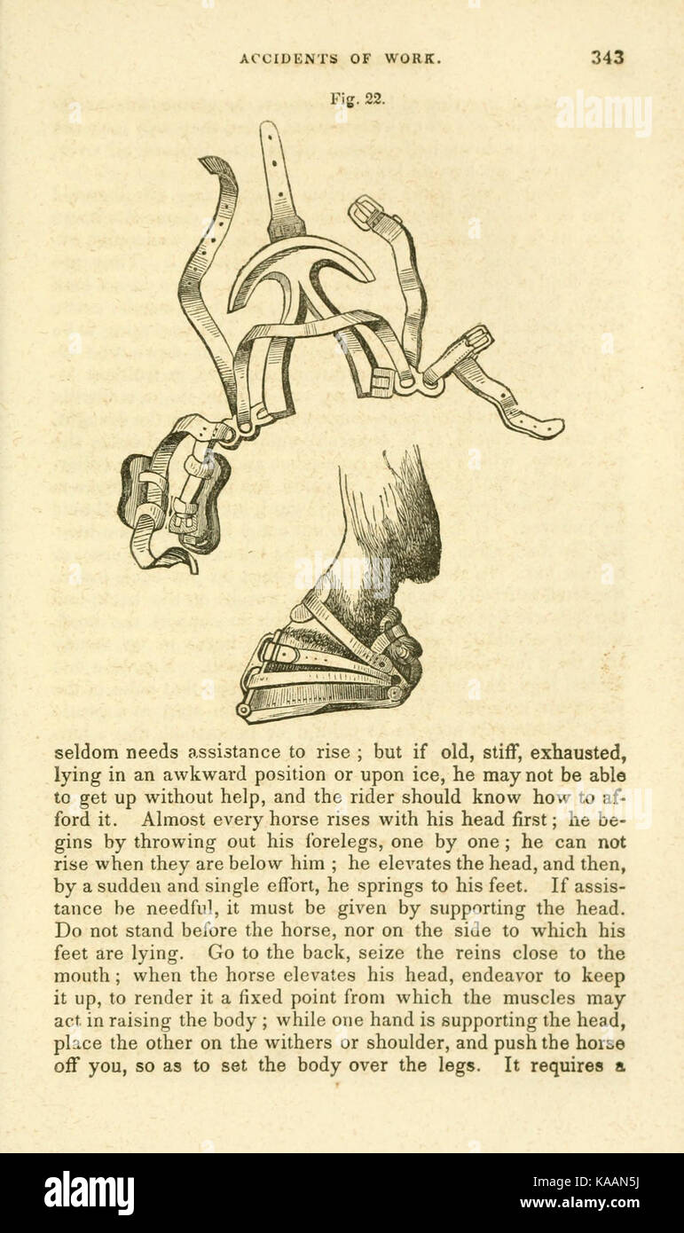 A historical representation of economic stability, depicted through an ...