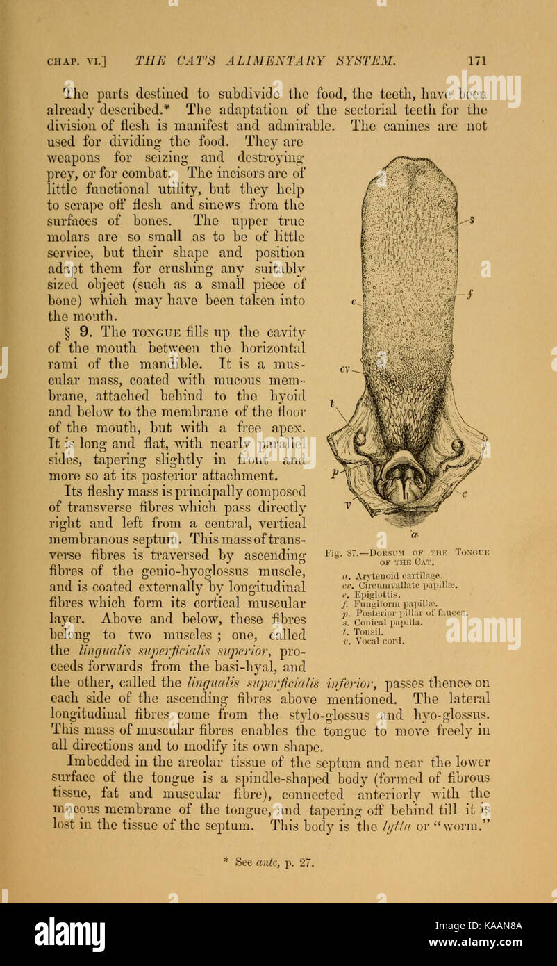 Introductory study hi-res stock photography and images - Alamy