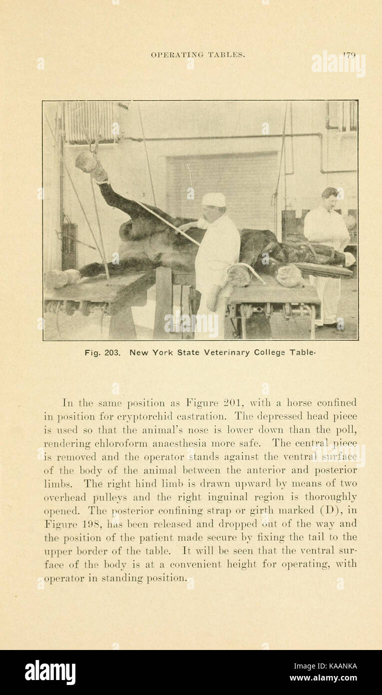 This page discusses the methods and principles regarding the restraint ...