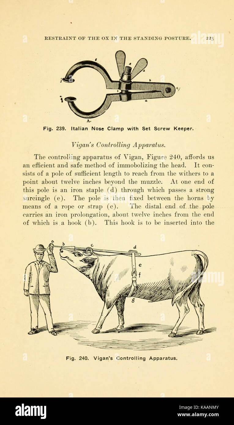This image from a historical text depicts the practice of restraining ...