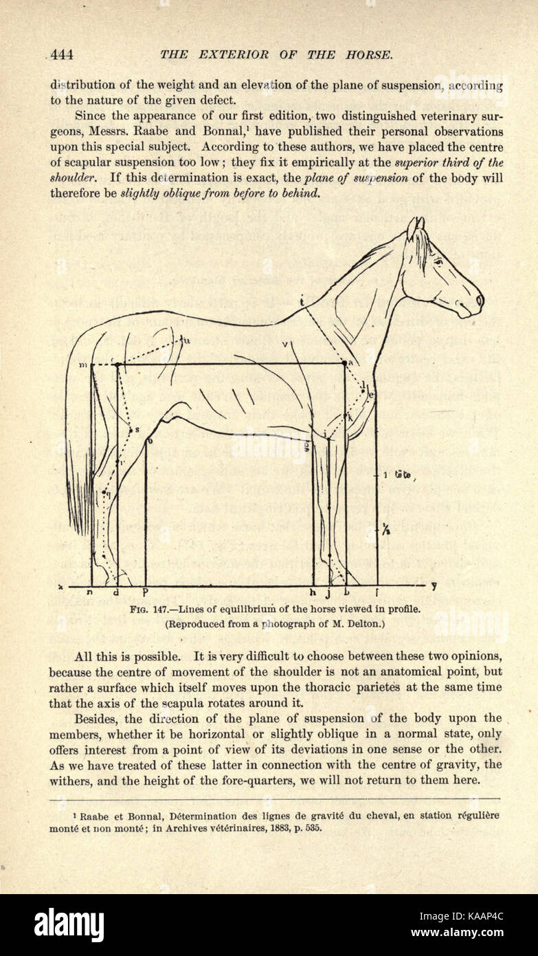 The exterior of the horse (Page 444) BHL21840557 Stock Photo - Alamy