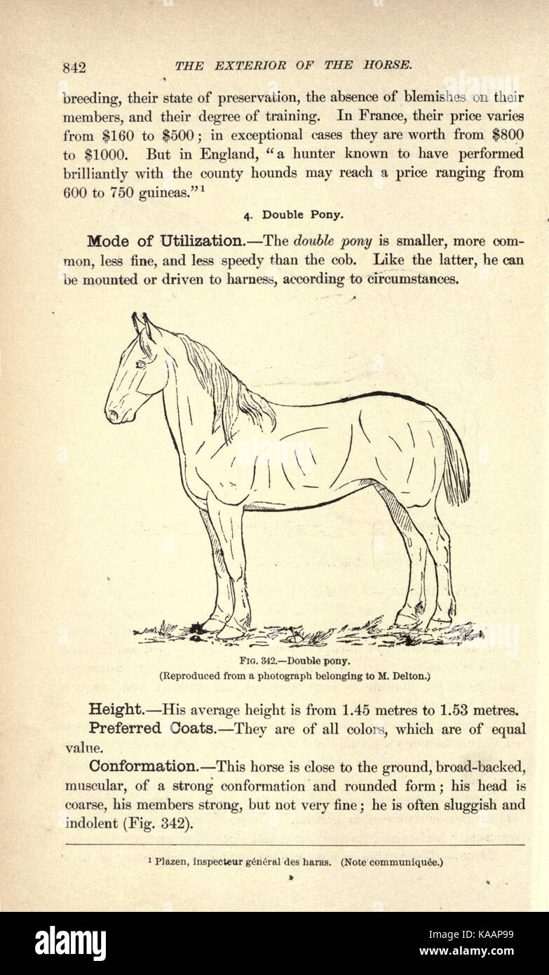 An anatomical illustration showing the exterior structure of a horse ...